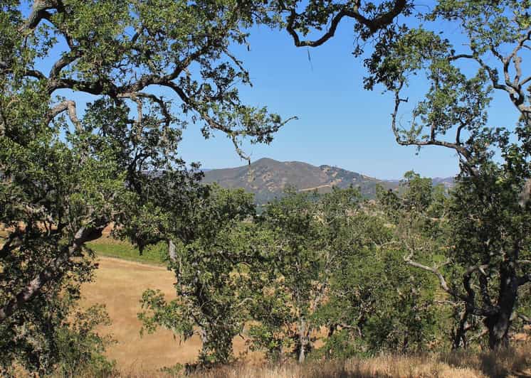 San Luis Obispo: Santa Lucia Guided Nature Tour by Hummer | GetYourGuide