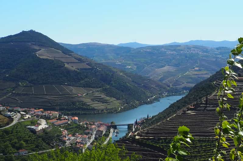 Von Porto aus: Douro-Tal Weintour mit Flusskreuzfahrt und Mittagessen ...