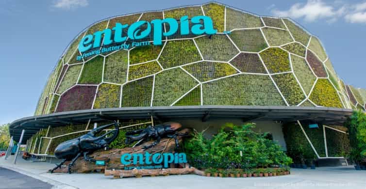 Entopia by Penang Butterfly Farm, Teluk Bahang - Book Tickets & Tours ...