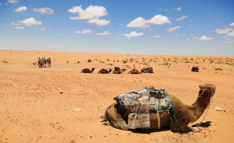 From Djerba Midun: 2-Day Desert and Ancient Cottage Tour | GetYourGuide