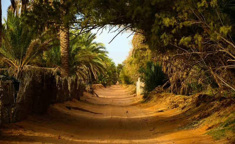 Z Djerba Midun: 2-dniowa wycieczka po pustyni i starożytnej chacie ...
