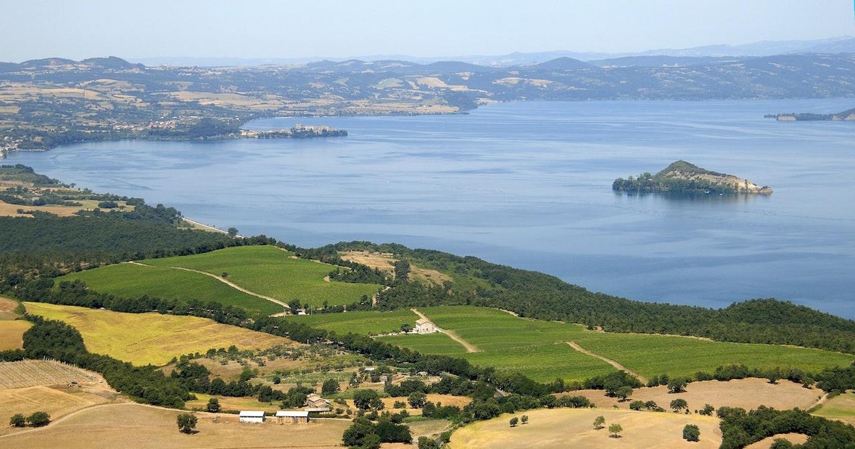 Meer van Bolsena: privékelderrondleiding en wijnproeverij | GetYourGuide