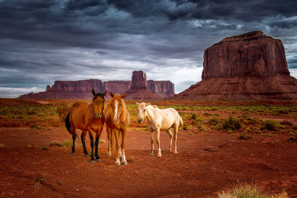 Navajo Tribal Park Monument Valley Self-Guided Driving Tour | GetYourGuide