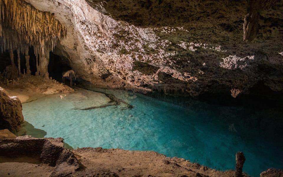 Cancún: Tour de esnórquel con tortugas y cenotes en Akumal | GetYourGuide Cancún: Tour de esnórquel con tortugas y cenotes en Akumal | GetYourGuide