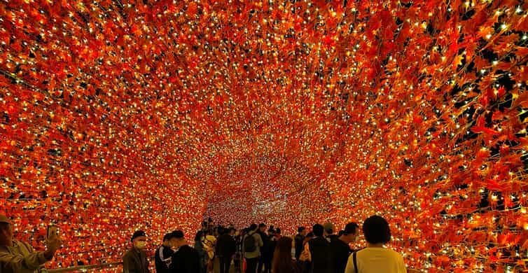 Taipei 101 Observatory, Taipei City - Book Tickets & Tours | GetYourGuide