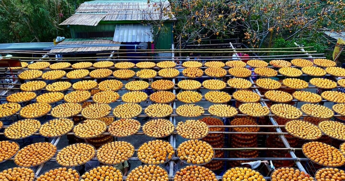 From Taipei: Hsinchu Fall Farm Tour with Harvest Experience | GetYourGuide