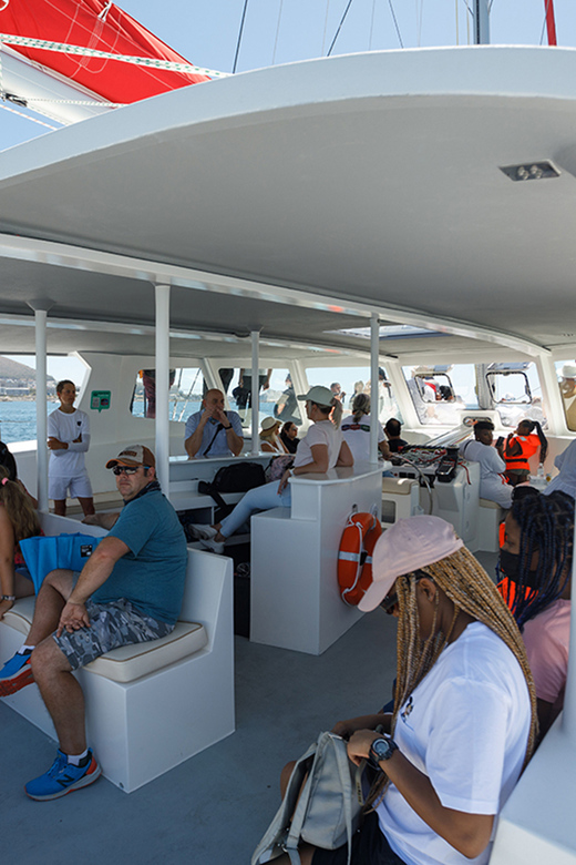 Croisière de 60 minutes en catamaran côtier au Cap | GetYourGuide