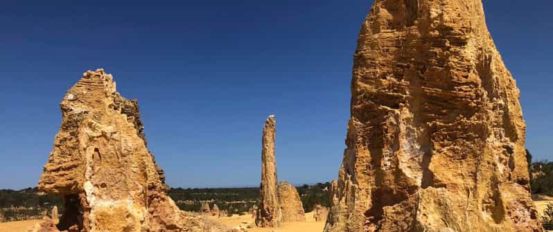 From Perth: The Pinnacles and Nambung National Park Day Trip | GetYourGuide