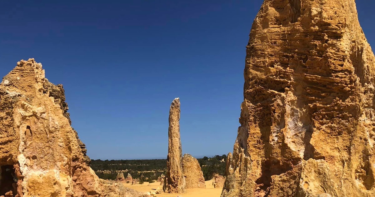 From Perth: The Pinnacles and Nambung National Park Day Trip | GetYourGuide