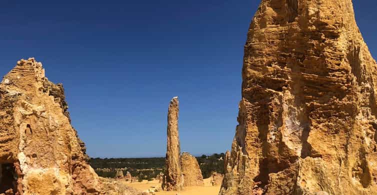 The Pinnacles, Western Australia - Book Tickets & Tours | GetYourGuide