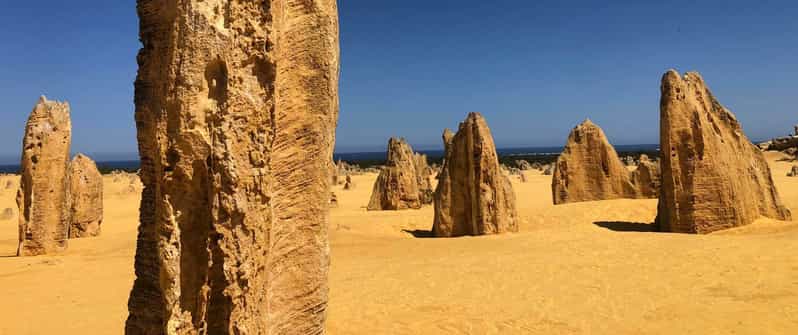 From Perth: The Pinnacles and Nambung National Park Day Trip | GetYourGuide