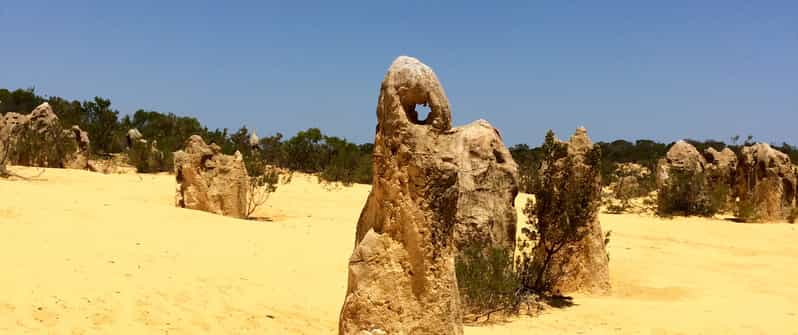 From Perth: The Pinnacles and Nambung National Park Day Trip | GetYourGuide