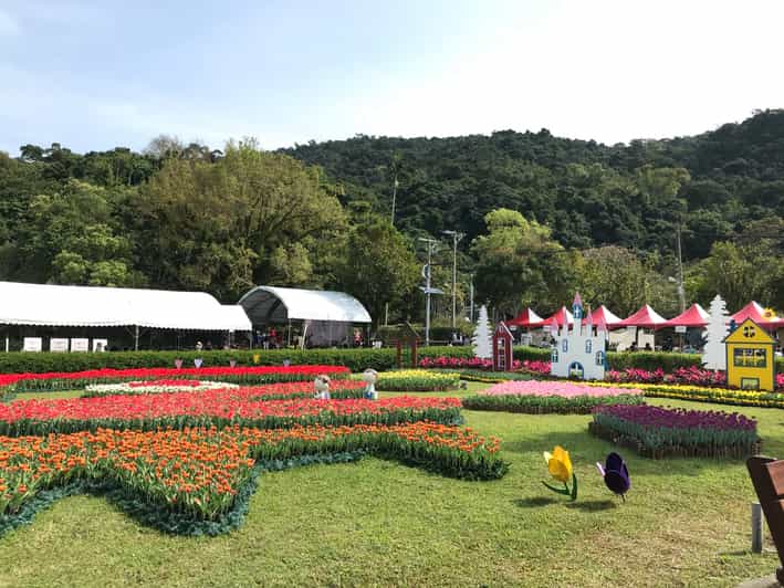 Taipei: Guided Cherry Blossom Day Tour | GetYourGuide