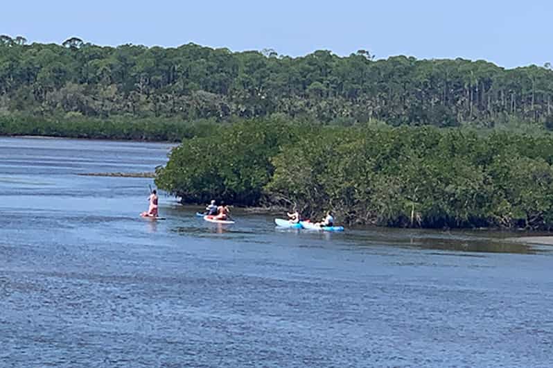 New Smyrna: Half-Day Guided SUP or Kayak Waterways Tour | GetYourGuide