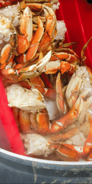 From Ketchikan: Crab Feast Lunch at World Famous Lodge | GetYourGuide