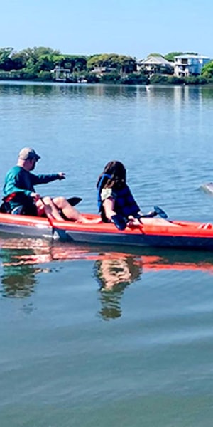 St. Augustine: Dolphin and Manatee Paddle or Kayak Tour | GetYourGuide