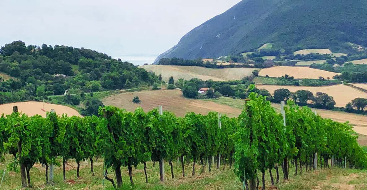 Numana: Villages of Conero E-bike Tour | GetYourGuide