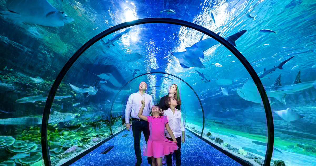 Abu Dhabi: National Aquarium Entrance Ticket | GetYourGuide