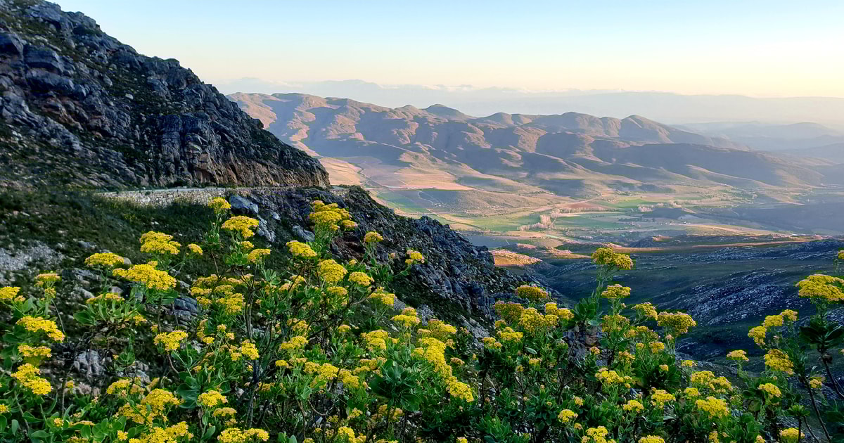 Oudtshoorn: Half-Day Swartberg Pass Private Guided Tour | GetYourGuide