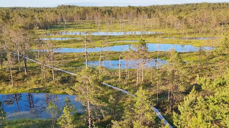 Tallinn: Best Estonian Nature Trails in a Day Guided Tour | GetYourGuide