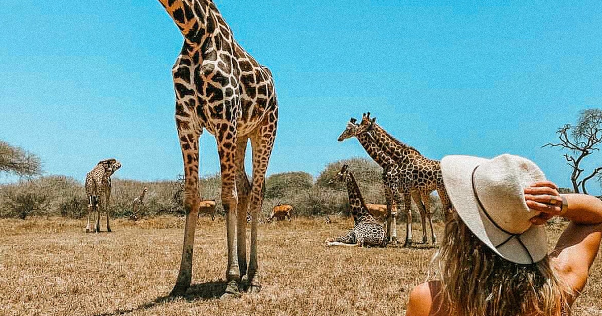 Mombasa: Guided Nature Walk Amongst Giraffes | GetYourGuide