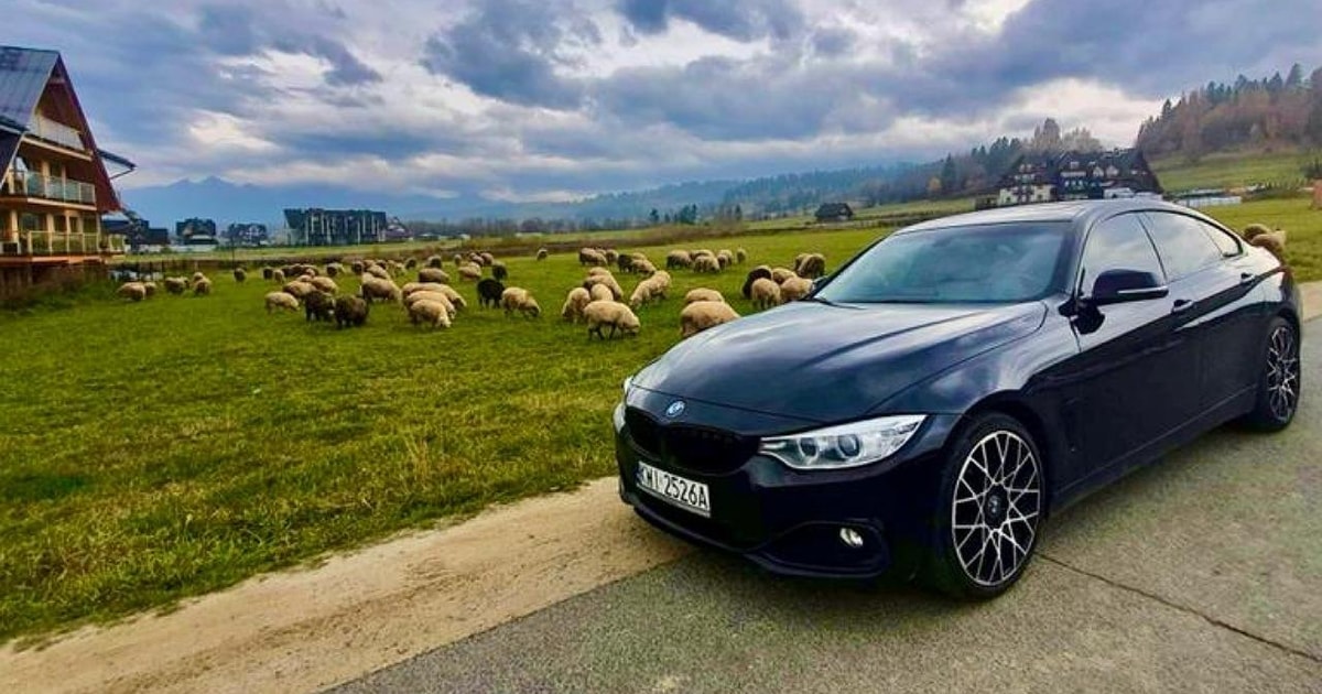 Krakau: privétransfer enkele reis van/naar Zakopane | GetYourGuide