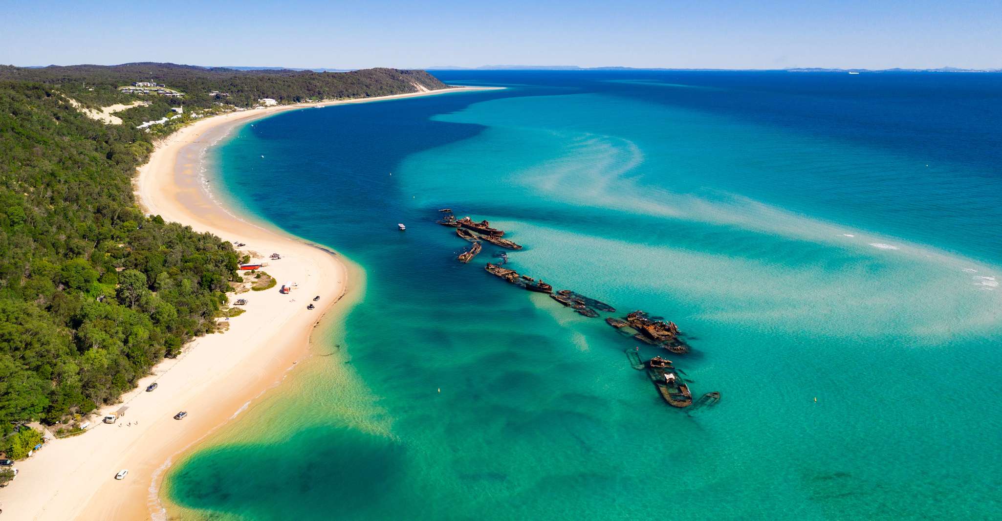 Moreton Island, Dolphin and Tangalooma Wrecks Day Cruise | Water ...