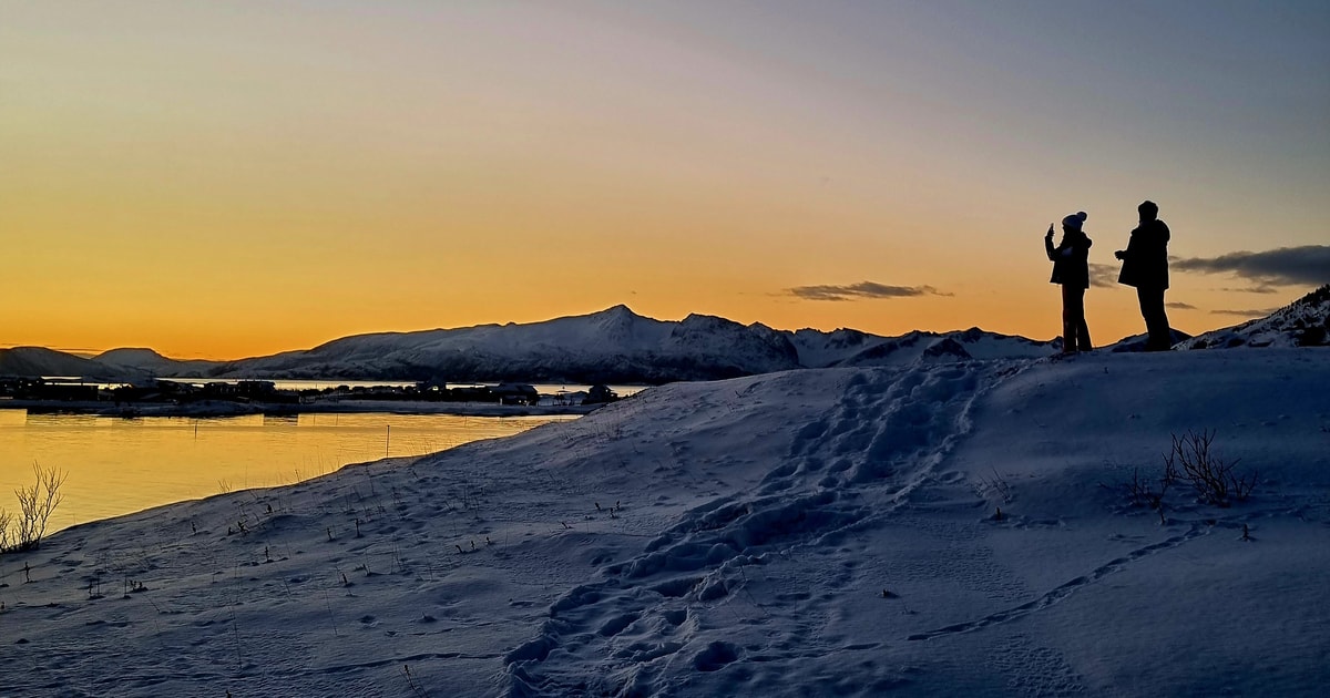 From Tromsø: Small Group Arctic Fjord Tour | GetYourGuide