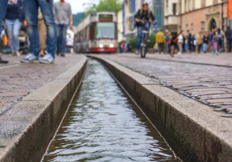 Freiburg: Schnitzeljagd und Stadtrundgang mit Highlights | GetYourGuide Freiburg: Schnitzeljagd und Stadtrundgang mit Highlights | GetYourGuide