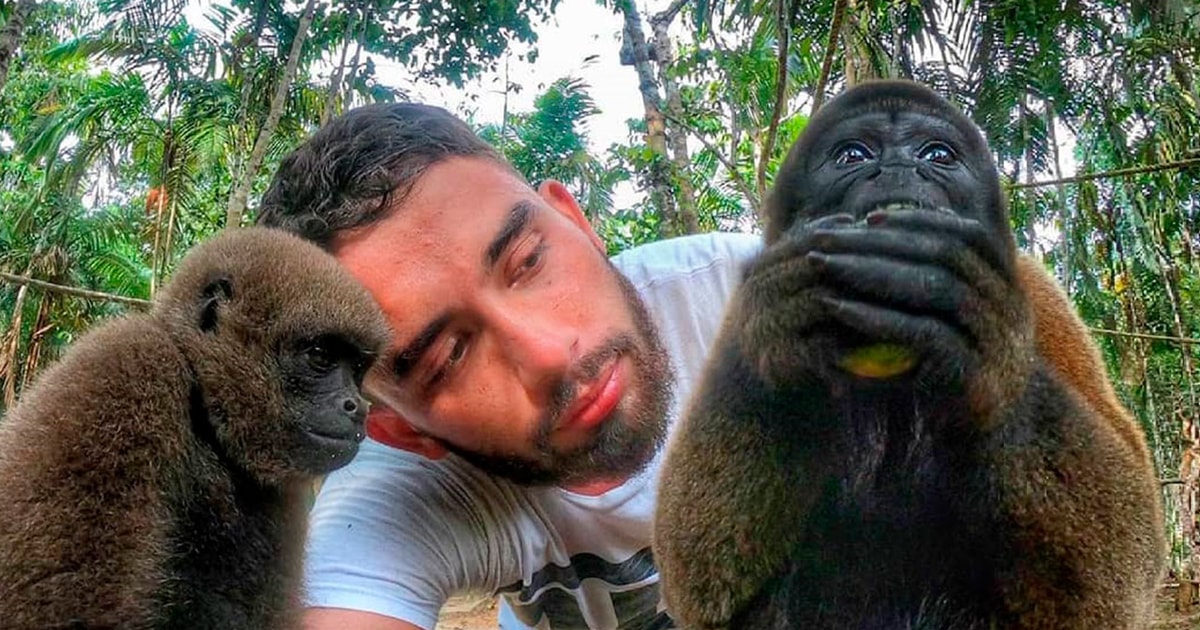 De Iquitos al Amazonas: experiencia de 2 días en la selva y la vida ...