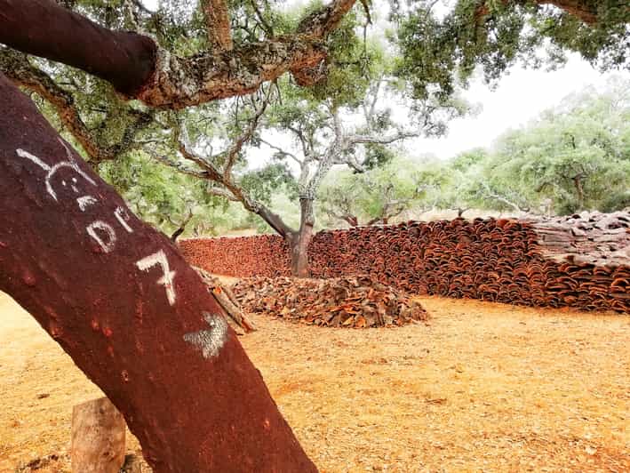 Cork Farm: 4x4 Cork Tour with Optional Lunch | GetYourGuide