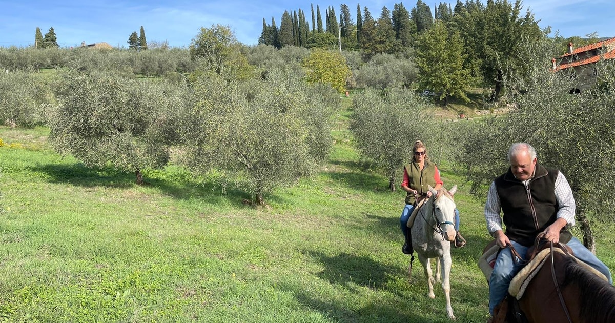 Da Firenze: Passeggiata a cavallo e degustazione di olio d'oliva e cibo | GetYourGuide