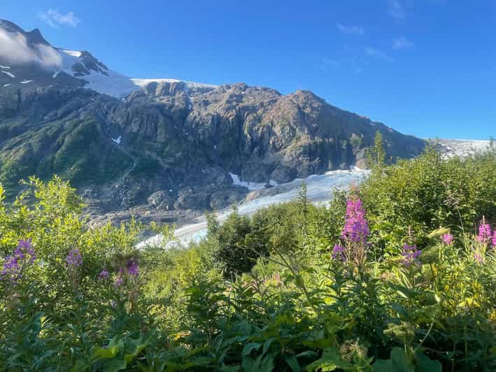 Von Seward aus: Harding Icefield Trail Wandertour | GetYourGuide