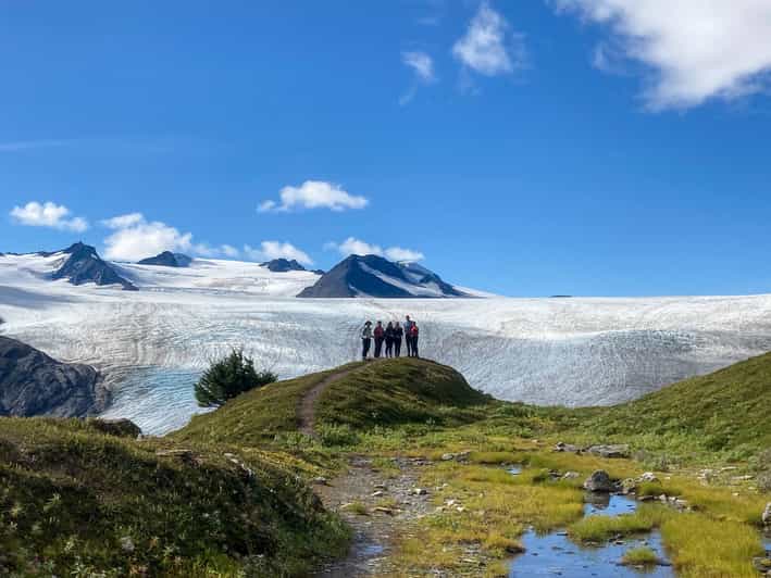 From Seward: Harding Icefield Trail Hiking Tour | GetYourGuide