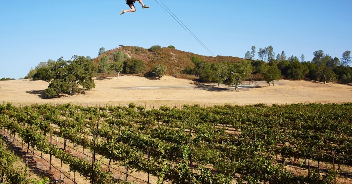 Santa Margarita: Margarita Adventure Wine Tasting & Zipline | GetYourGuide