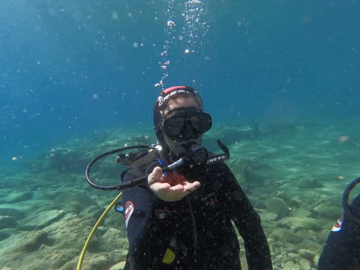 Heraklion: Základní potápěčský program SSI pro začátečníky s 2 ponory ...