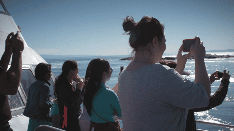 Seattle: Half-Day Whale Watching Tour | GetYourGuide