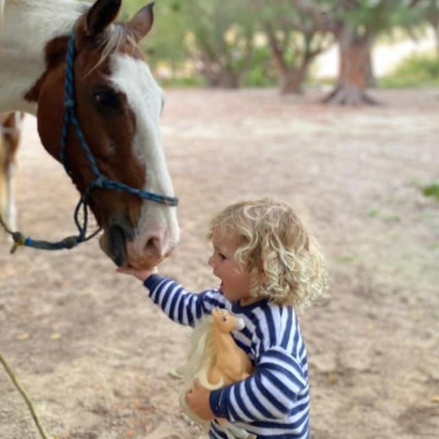 Holbox: Guided Horseback Ride on the Beach | GetYourGuide