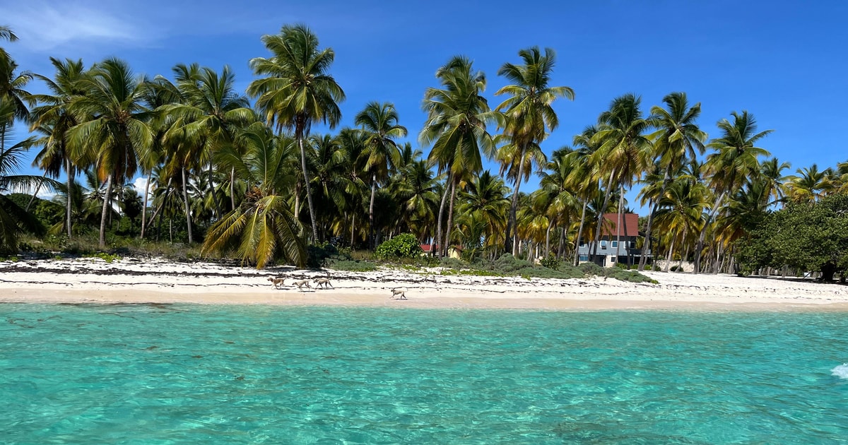 Punta Cana: Saona Island Beaches and Turtle Nursery Tour | GetYourGuide
