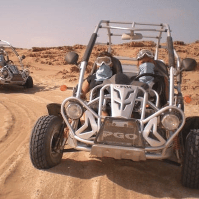 Marrakech: Buggy Drive in the Palm Groves | GetYourGuide
