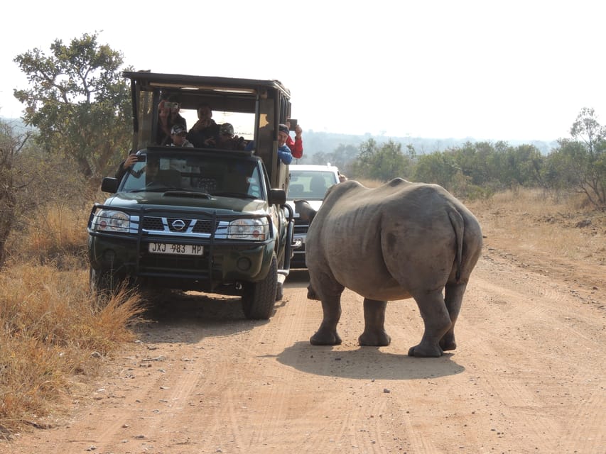 Kruger National Park: Full-Day Game Drive with Pickup | GetYourGuide