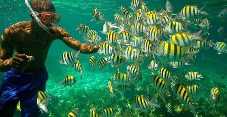 Montego Bay: Negril Seven Miles Beach & Booby Cay Boat Tour | GetYourGuide