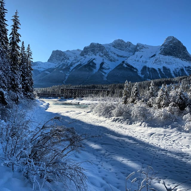Banff - Wildlife Safari Drive and Nature Walk | GetYourGuide