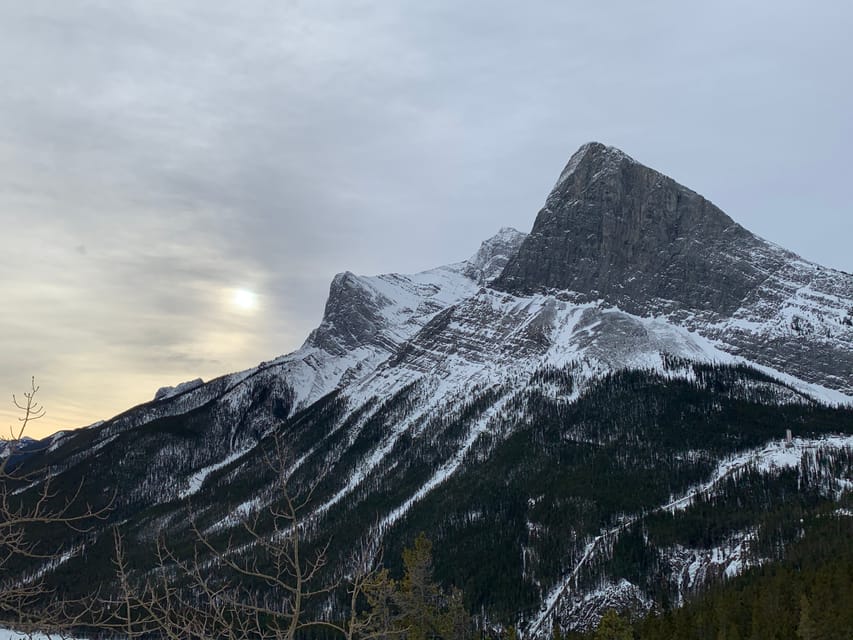 Banff - Wildlife Safari Drive and Nature Walk | GetYourGuide