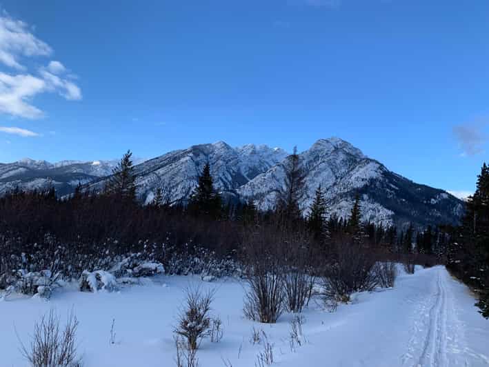 Banff Nature Walk - 2hrs | GetYourGuide