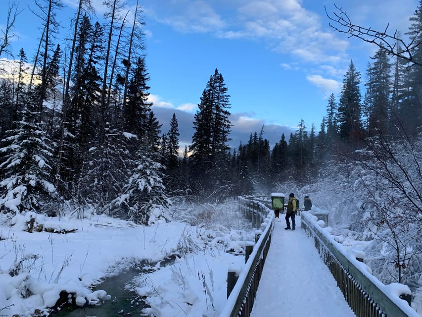 Banff: Best of Banff Nature Walk - 2hrs | GetYourGuide