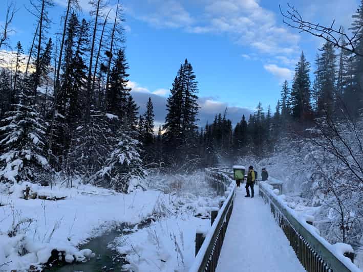 Banff Nature Walk - 2hrs | GetYourGuide