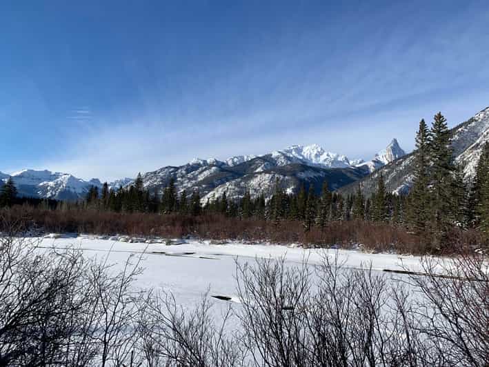 Banff Nature Walk - 2hrs | GetYourGuide