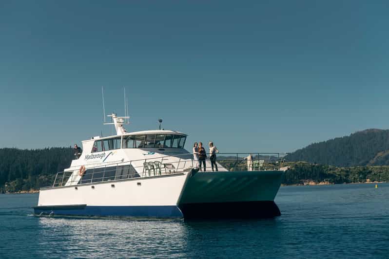 From Picton: Marlborough Sounds Cruise with Seafood | GetYourGuide