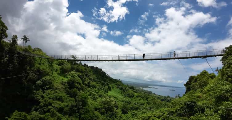 Vanuatu Jungle Skybridge | GetYourGuide